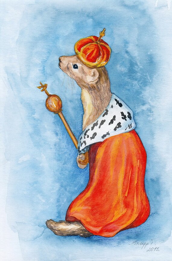 Ermine king king-ermine picture watercolor painting