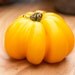 Yellow Ruffles Pleated Stuffing Heirloom Tomato by SherwoodsSeeds