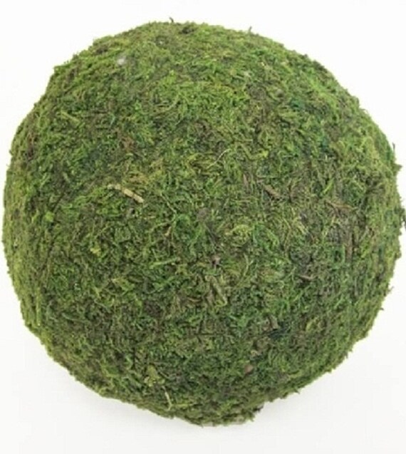 6 Moss Balls 2 Round Perfect For Rustic Country