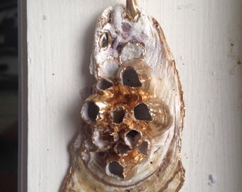 Popular items for oyster shell pendant on Etsy