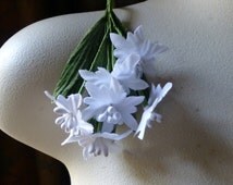 Edelweiss Flowers in White for Bridal, Boutonierres, Garlands, Crowns ...