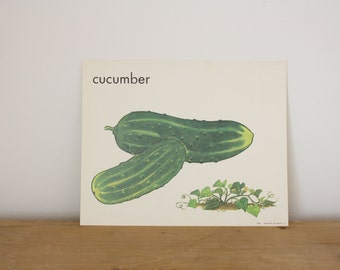 Popular items for flashcards on Etsy