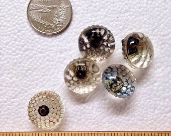 Popular items for clear glass buttons on Etsy