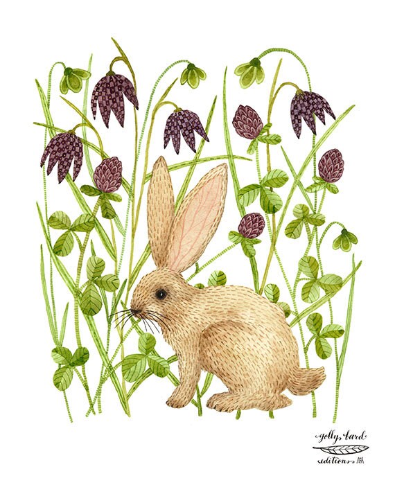 Items similar to Cottontail Print, bunny rabbit hare illustration ...
