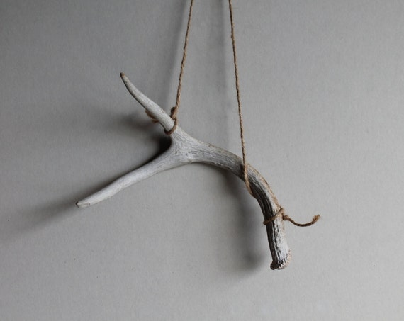 Vintage Grey Shed Antler Rustic Tribal Woodland Wall Decor