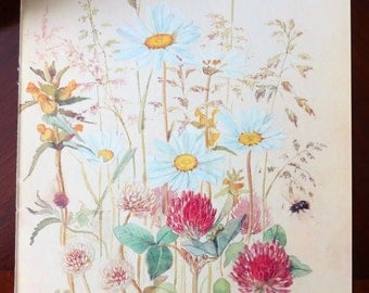 Edith holden print | Etsy