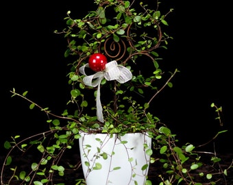 Unique flower topiary related items | Etsy