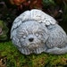Yorkie Angel Memorial Statue Yorkshire Terrier by PhenomeGNOME
