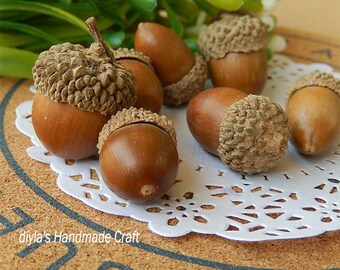 Popular items for large acorns on Etsy