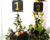 Popular items for nature theme wedding on Etsy