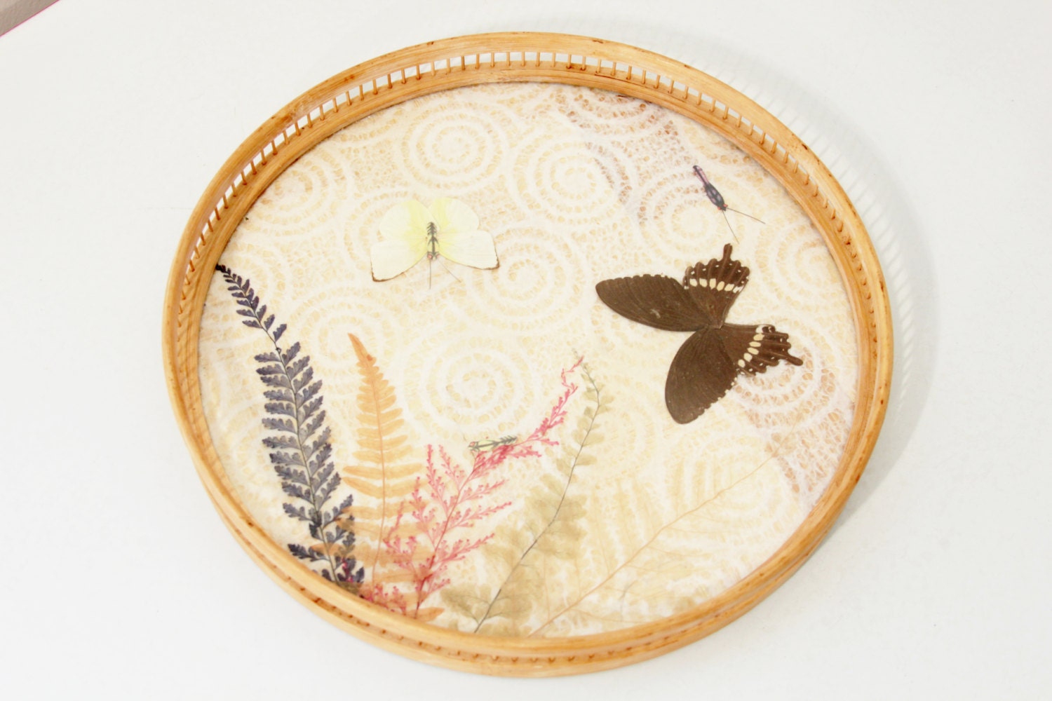 Vintage Round Butterfly Tray – Haute Juice