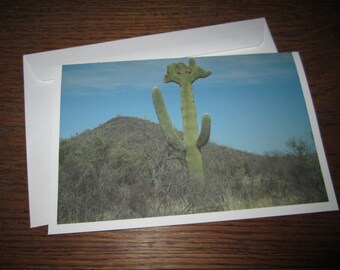 Popular items for cactus greeting card on Etsy