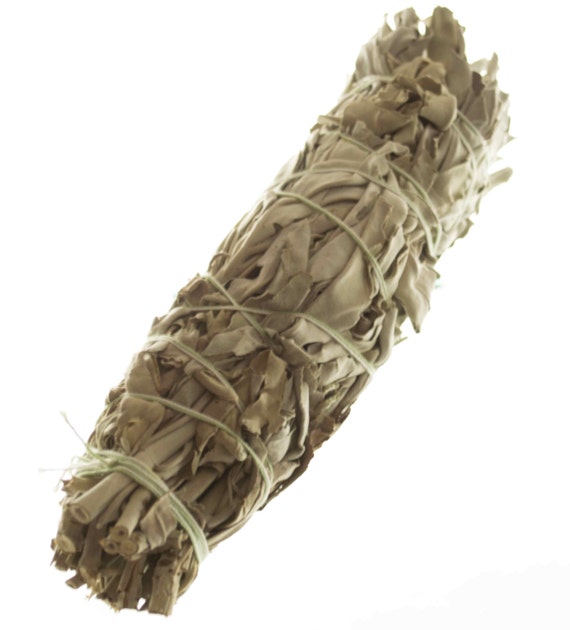 Large Dried White Sage Bundle