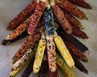 Dried corn | Etsy