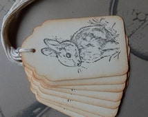 Popular items for baby bunny rabbit on Etsy