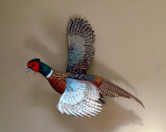 Popular items for pheasant on Etsy