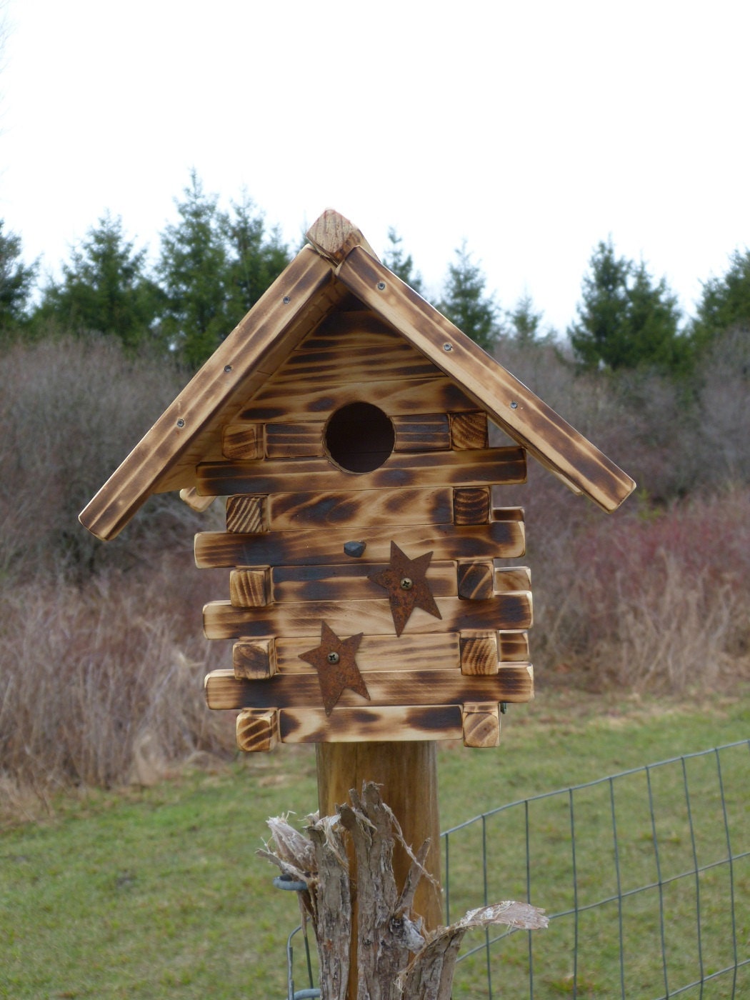 Rustic Brass Roof Log Cabin Bluebird bird house by OutOnALimbADK
