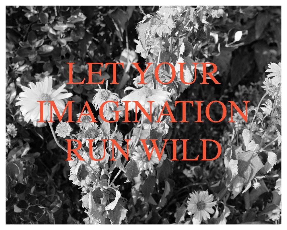 Let Your Imagination Run Wild Inspirational By Samanthaharvey
