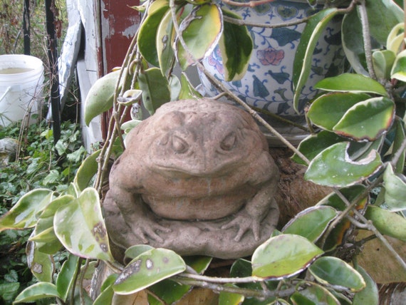 King Arthur-Toad