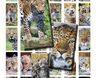 Wild cat keychain | Etsy