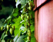 Popular items for brewery decor on Etsy