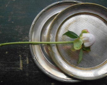 Popular items for metal plates on Etsy