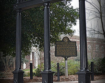 Uga arch | Etsy