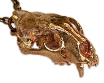 3D Printed Llama Skull Bronze White Bronze 925 by 3DPrintedSkull