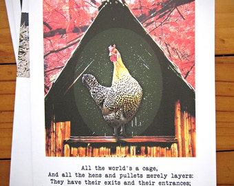 Literary Chicken Greeting Cards set of 5 assorted