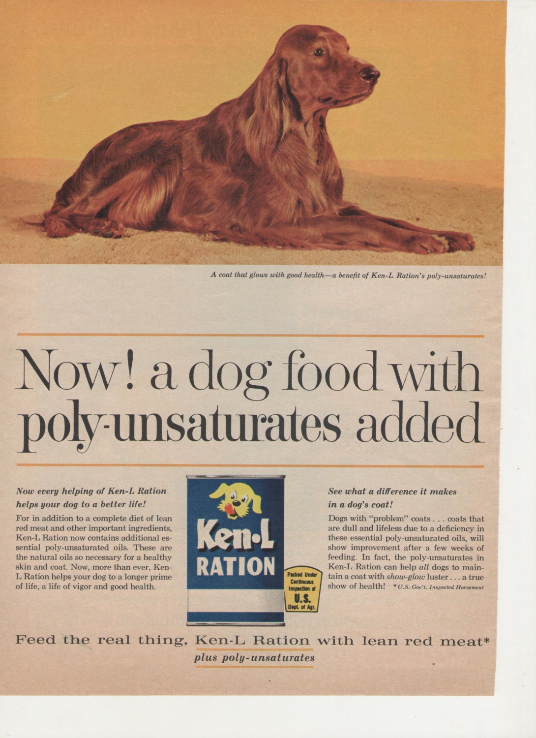 1962 Advertisement Ken-L Ration Dog Food Irish Setter 60s Dog