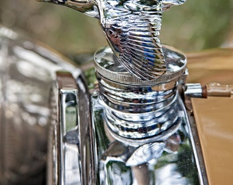 Popular items for ford roadster on Etsy