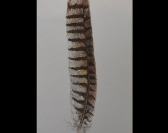 Popular items for falcon feather on Etsy