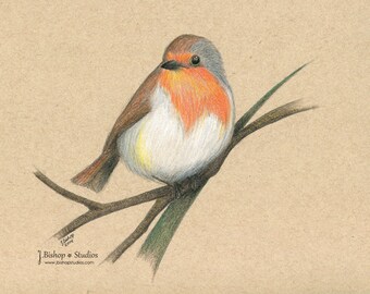 Popular items for european robin on Etsy