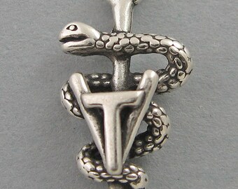 Veterinary caduceus | Etsy