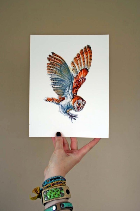 Barn Owl in Flight Archival quality print