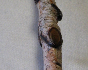 Birch branch | Etsy