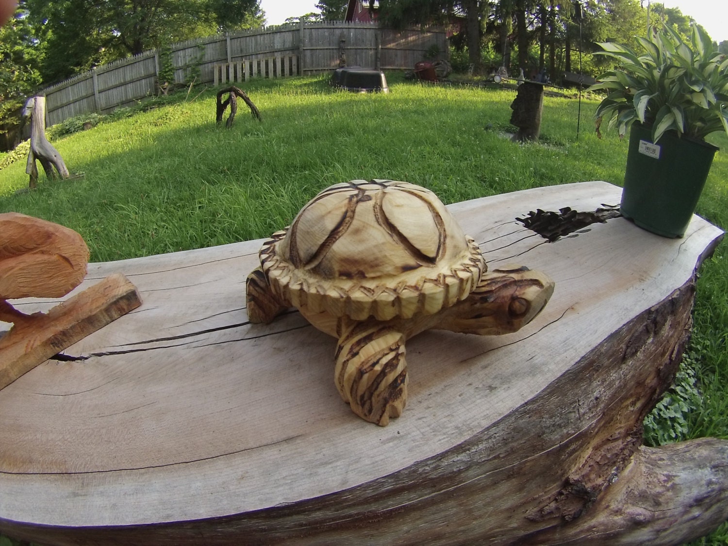 turtle box with custom emblem jewelry box made to order