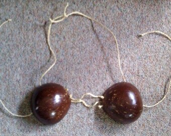 Coconut Bra