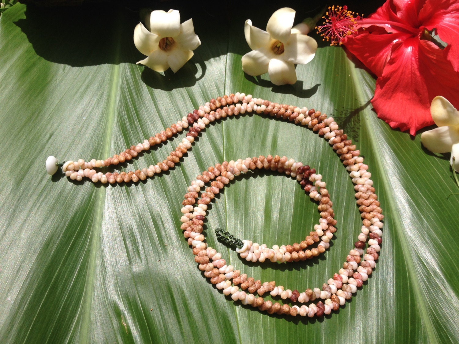 Shell Lei Kauai Shell Lei Rare Shells Eco Freindly Shell