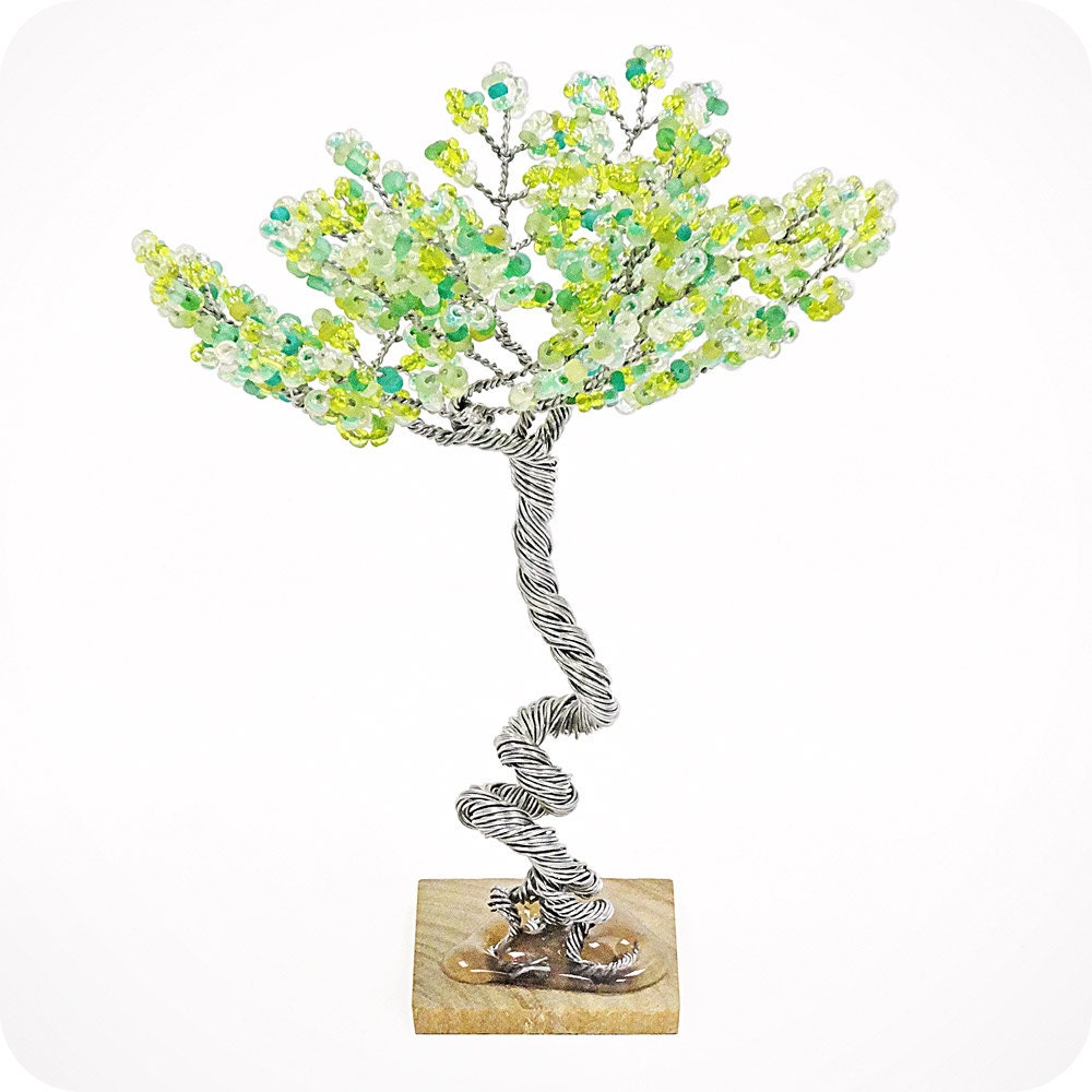 ZEN TREE GARDEN zen garden air plant terrarium feng shui