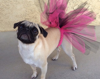 Popular items for dog in tutu on Etsy