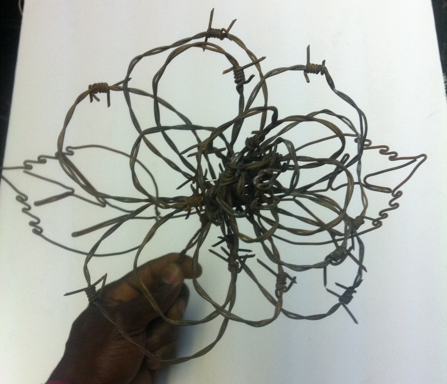 Rose Wire Rose Barbed Wire Rose 3D 3 Dimensional Garden