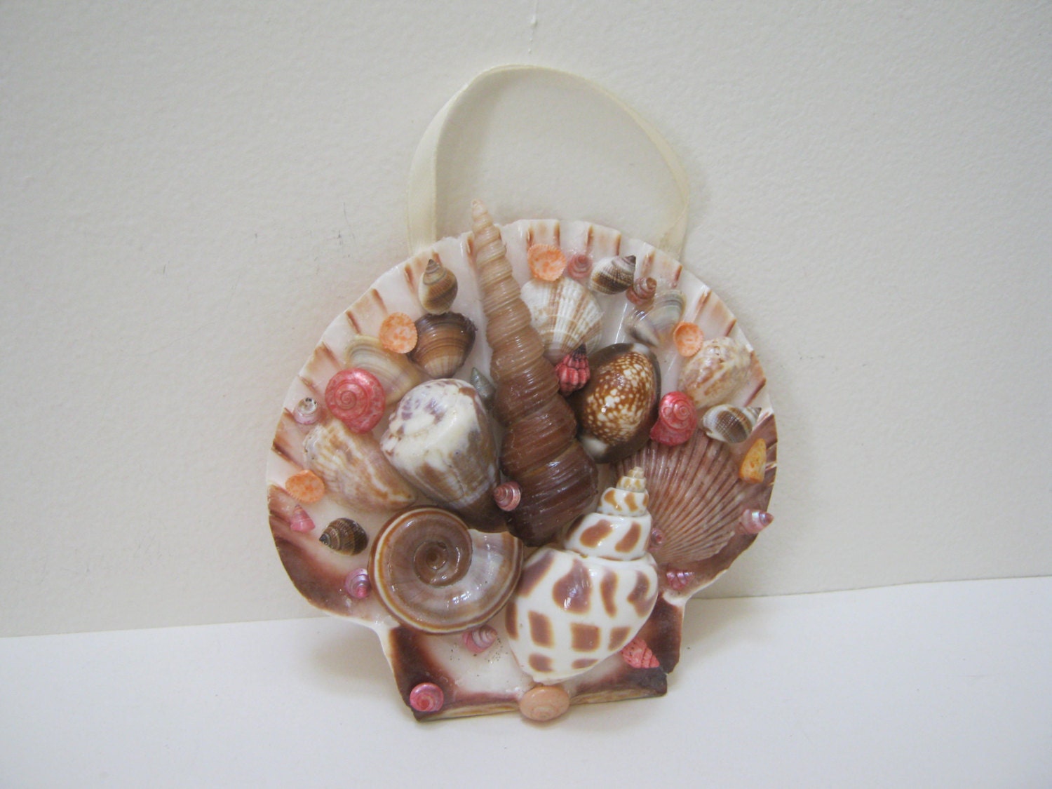 Sea Shell Wall Hanging Brown Red Shell Art Beach Decor