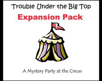 Child Party Game Trouble Under the Big Top Mystery