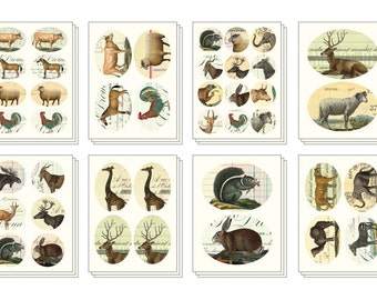 Vintage animal cards | Etsy