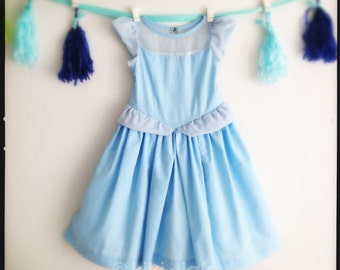 Custom Order Girl's Cinderella Costume
