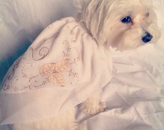 Popular items for maltese clothes on Etsy