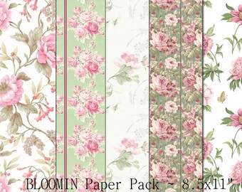 Paper Pack No. 57E 14 sheets 8.5 x 11 by CountryAtHeart2008