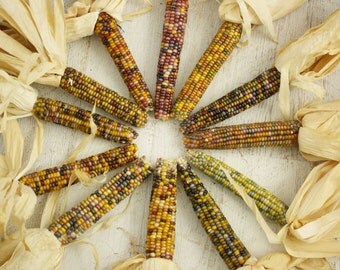 Popular items for heirloom corn on Etsy