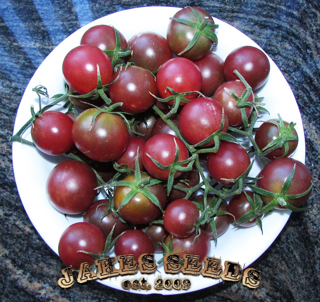Negro Azteca Heirloom Cherry Tomato Seeds